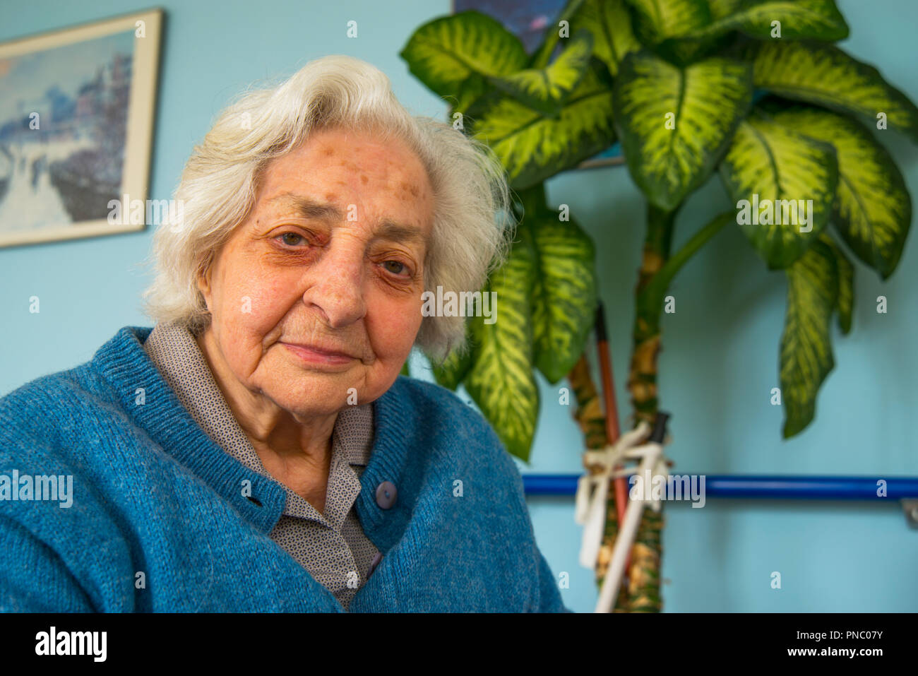 Old lady looking at the camera Stock Photo - Alamy