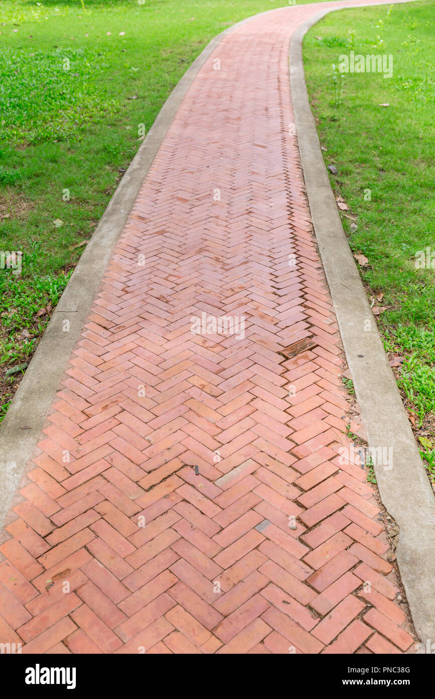 old red brick walkway perspective view on the green grass path forward ...