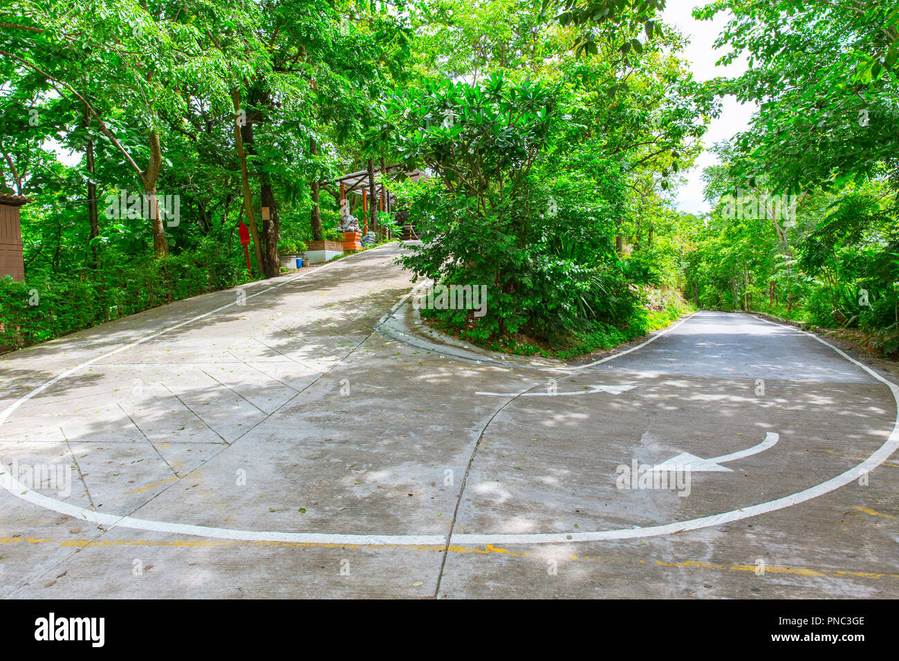 sharp curve road up hill in the mountain forest Stock Photo - Alamy