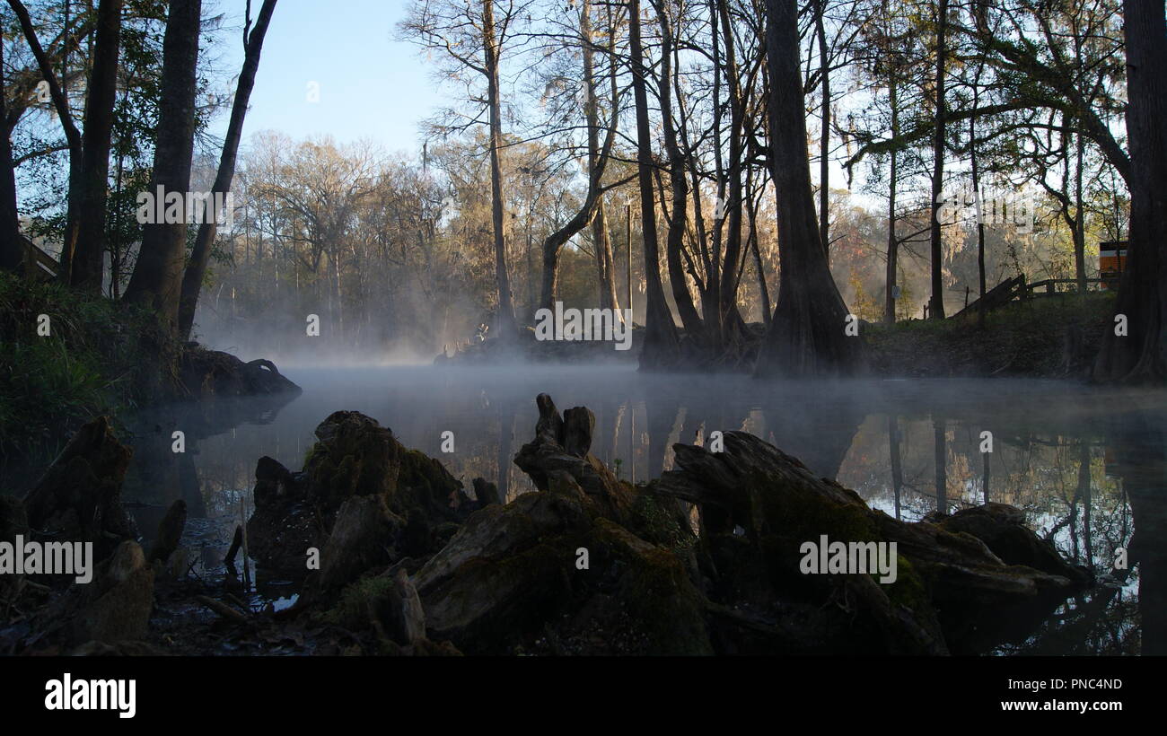 Ginny spring hi-res stock photography and images - Alamy