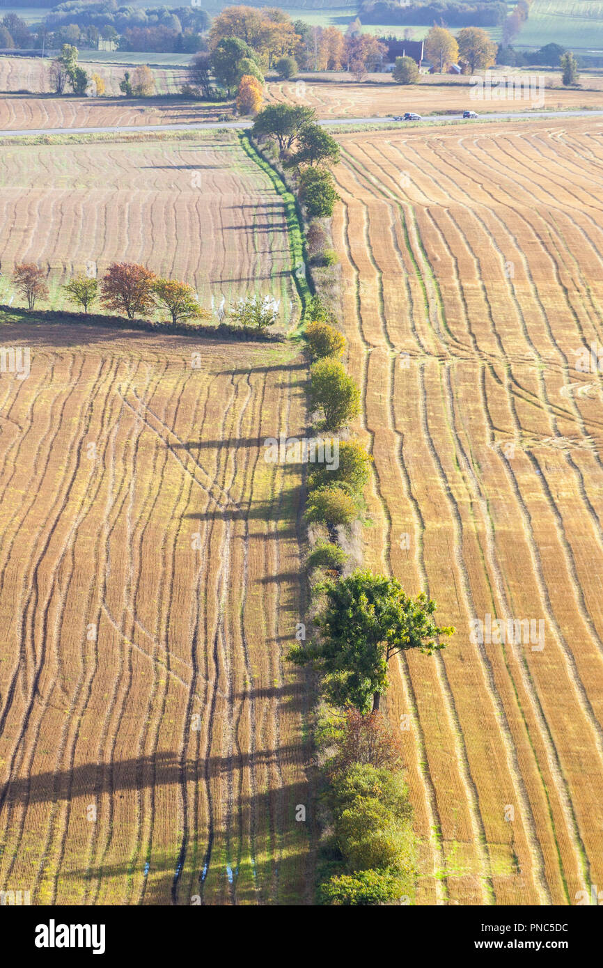 Stubble field tractor track hi-res stock photography and images - Alamy