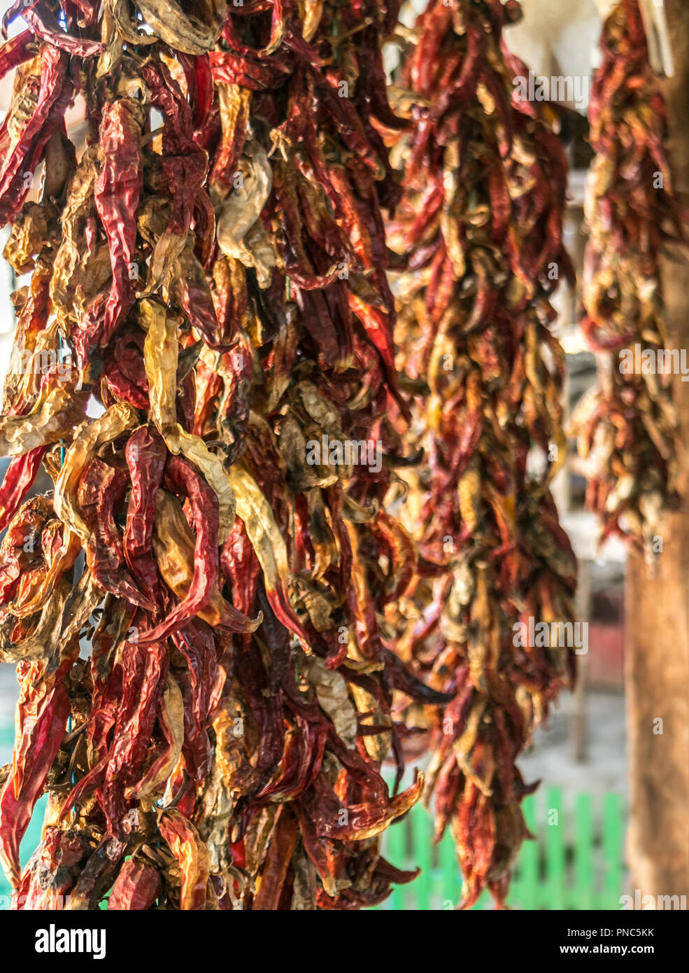 String Drying Red Chili Peppers Hanging On A Farmhouse Stock Photo - Alamy