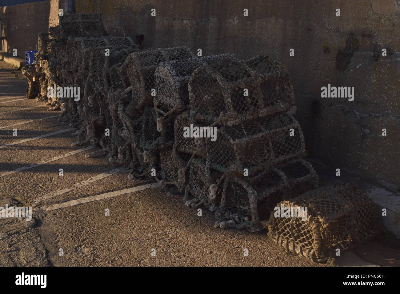 Stonehaven harbour fishing hi-res stock photography and images - Alamy
