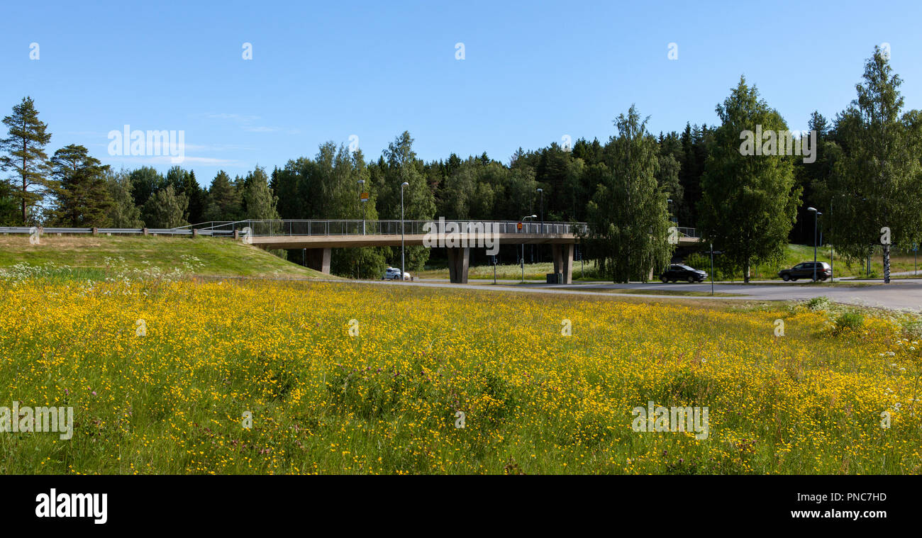 UMEA, SWEDEN ON JUNE 21, 2018. Flowerful meadow this side a bridge and ...