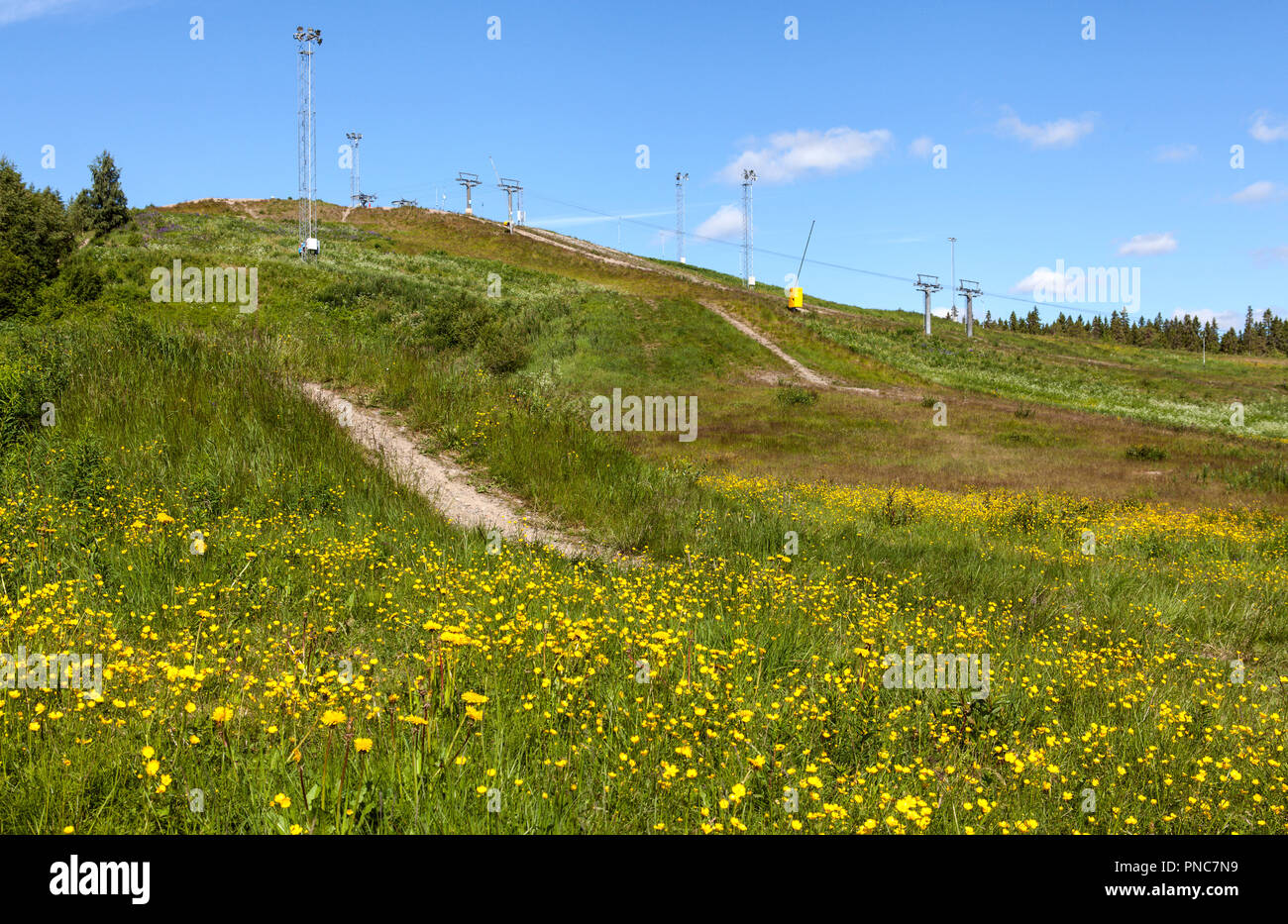Pylon and flowers hi-res stock photography and images - Alamy
