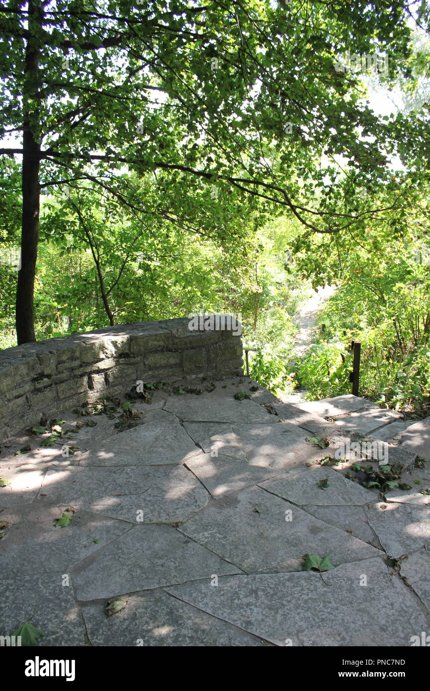 Upscale backyard and wooded residential grounds located on Lake ...