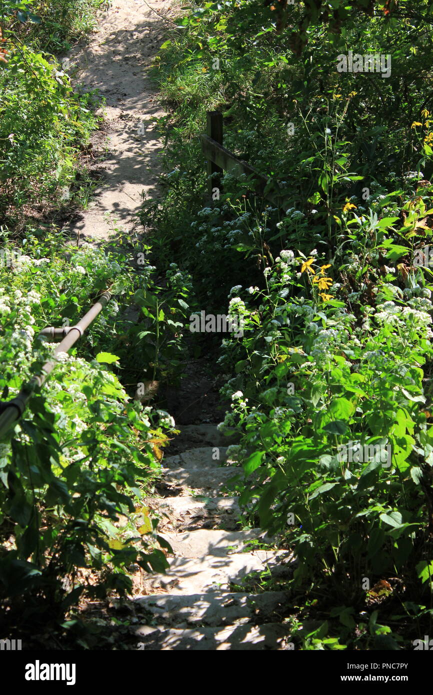 Upscale backyard and wooded residential ground with beach access ...
