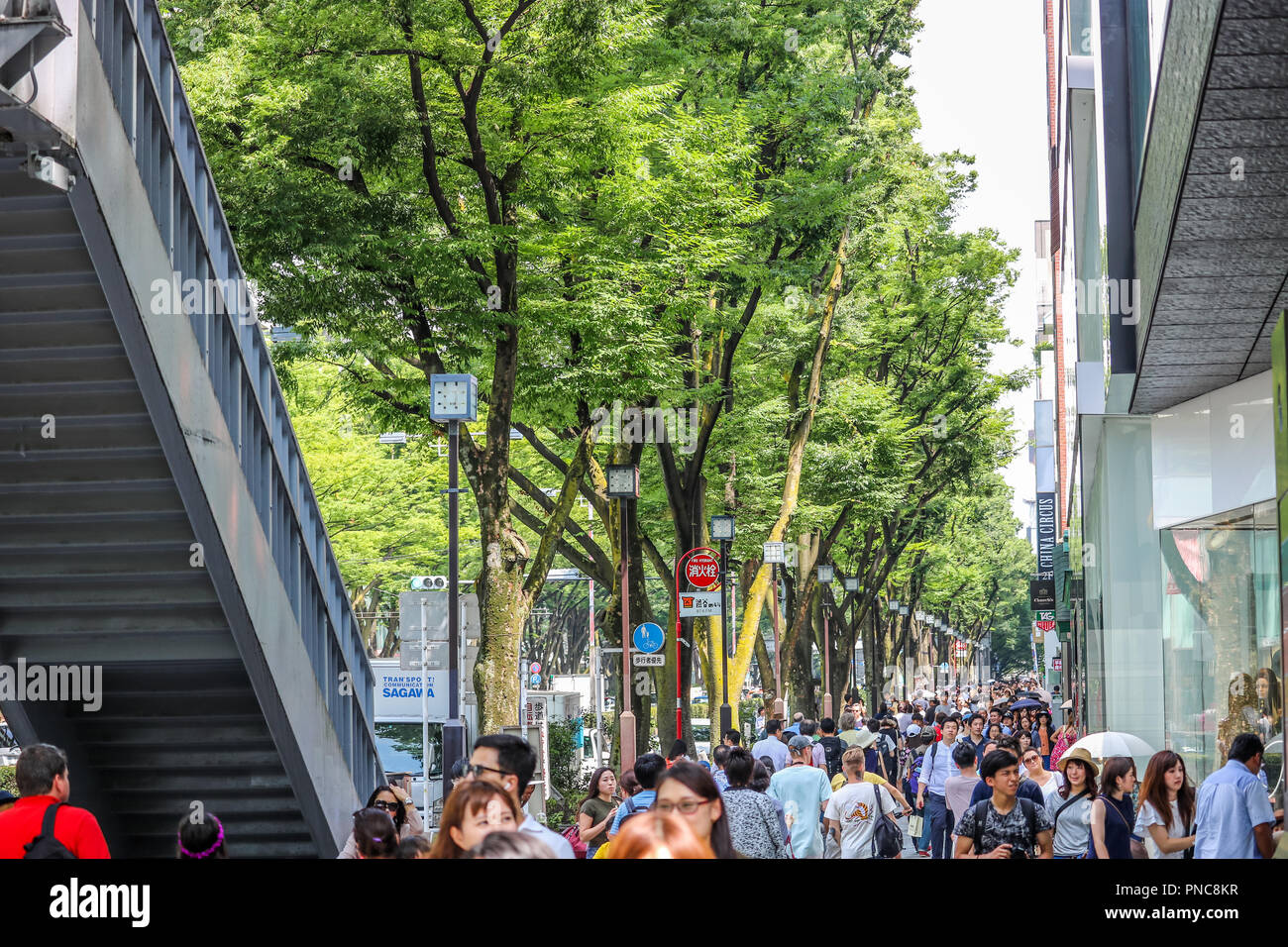 A Busy Street in Harajuku, Shibuya, Tokyo, Japan Stock Photo - Alamy