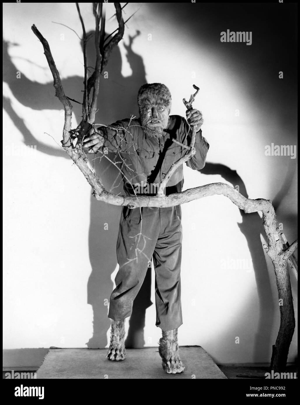 Lon Chaney Wolf Man Stock Photos & Lon Chaney Wolf Man Stock Images - Alamy
