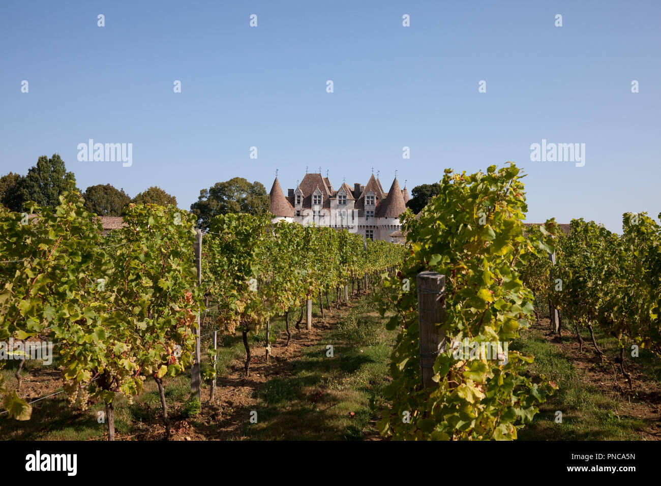 Château de Monbazillac Stock Photo - Alamy