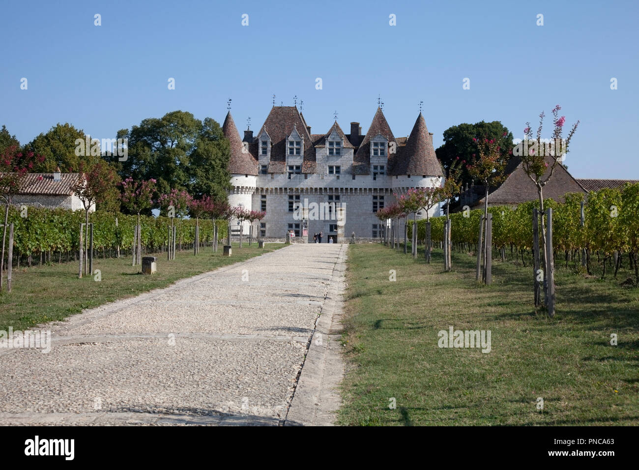 Monbazillac Wines High Resolution Stock Photography and Images - Alamy