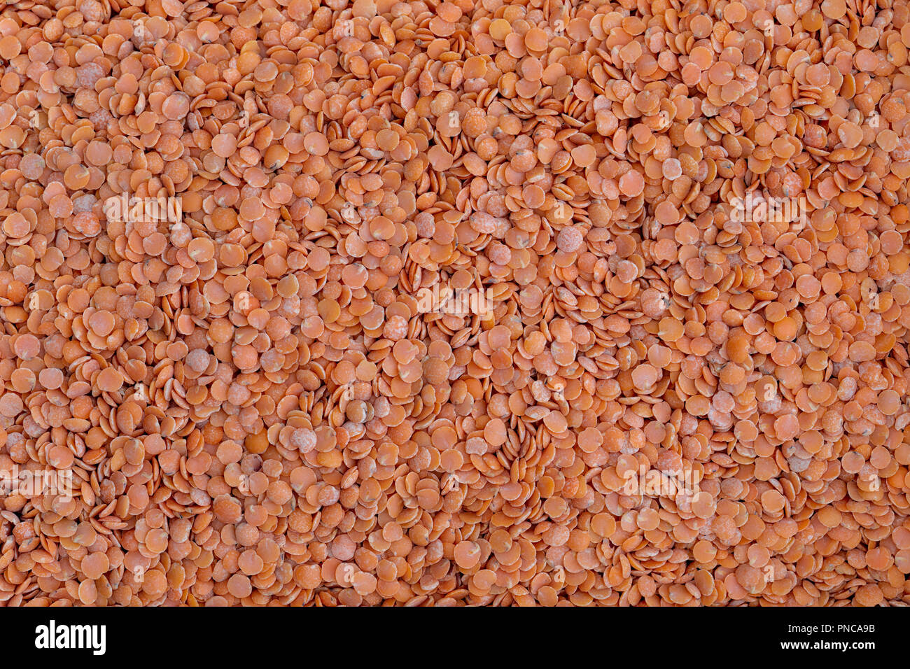 Texture of raw red bio lentils without skin (legume Stock Photo - Alamy