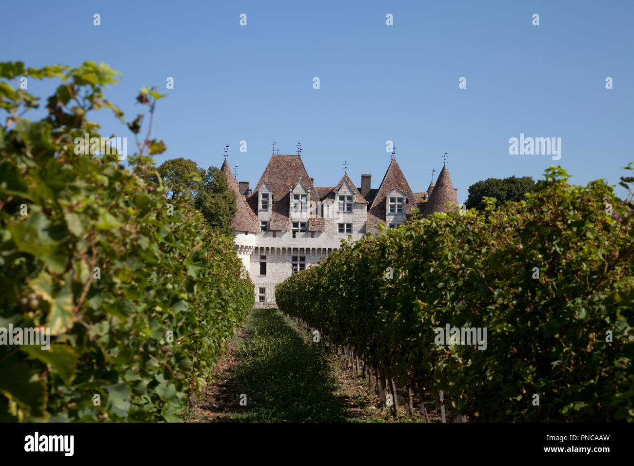 Monbazillac Wines High Resolution Stock Photography and Images - Alamy