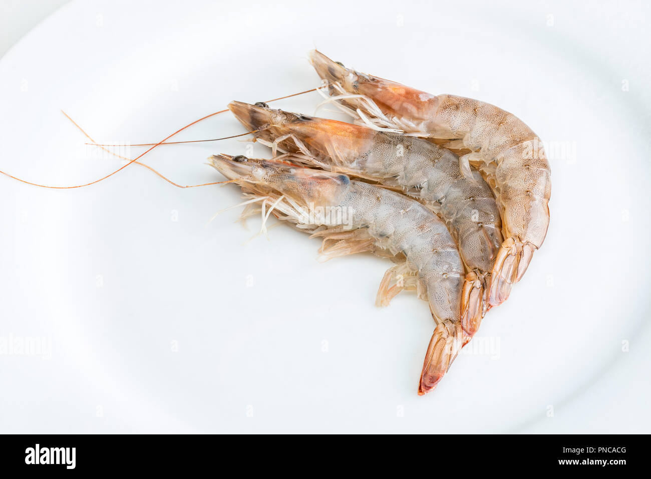 Close-up of fresh, raw and whole prawns. On white background Stock ...
