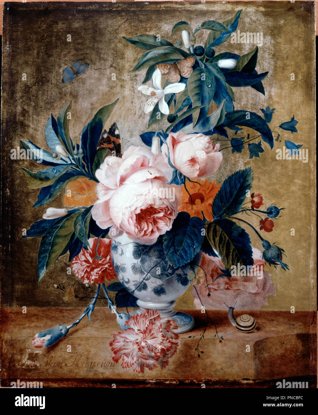 Ca 1730 Flowers High Resolution Stock Photography and Images - Alamy