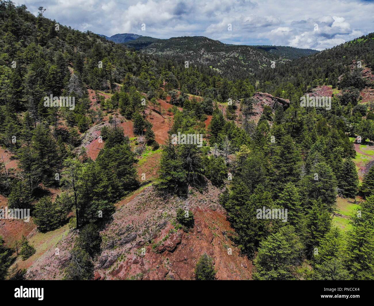 Estaciones del ano hi-res stock photography and images - Alamy