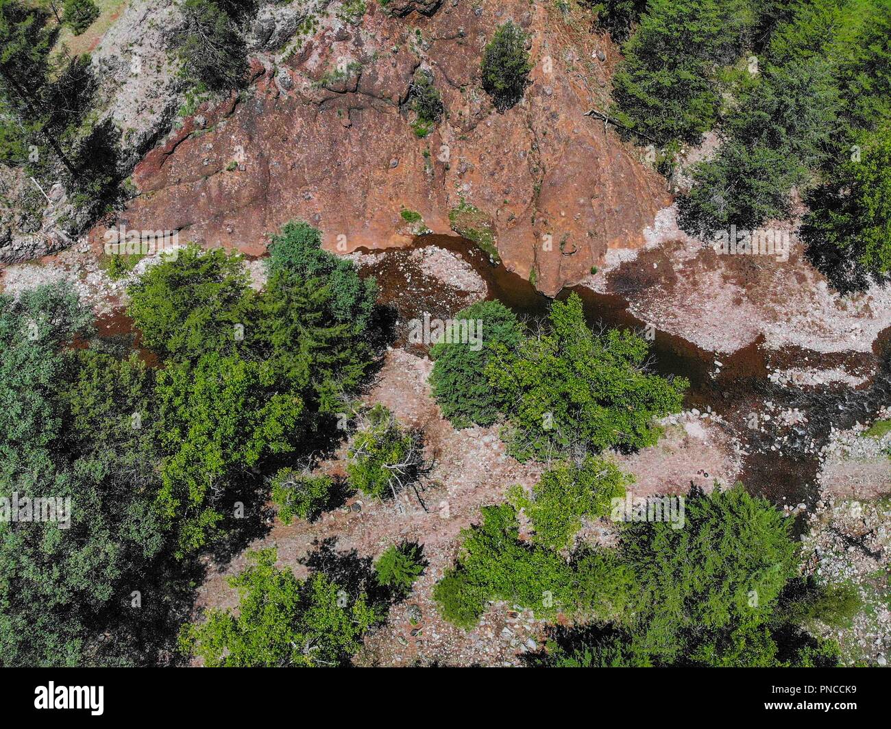 Estaciones del ano hi-res stock photography and images - Alamy