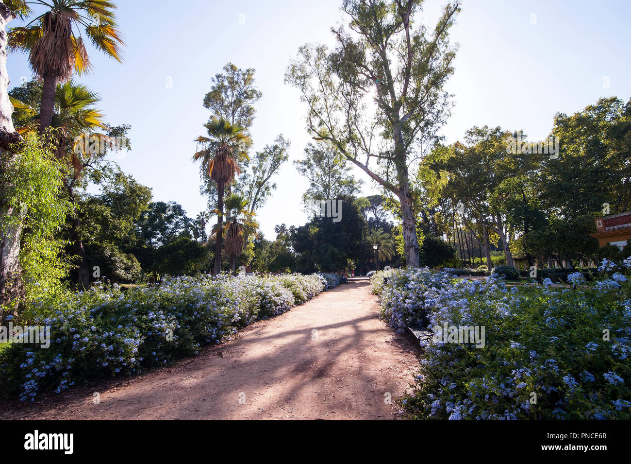 SPAIN, SEVILLE: The Parque de María Luisa (María Luisa Park) is a ...