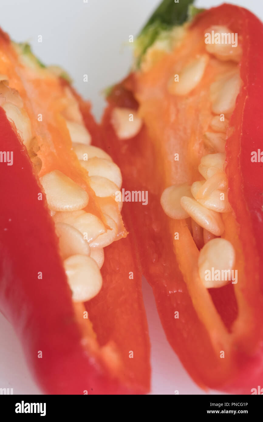 Exposed seeds hi-res stock photography and images - Alamy