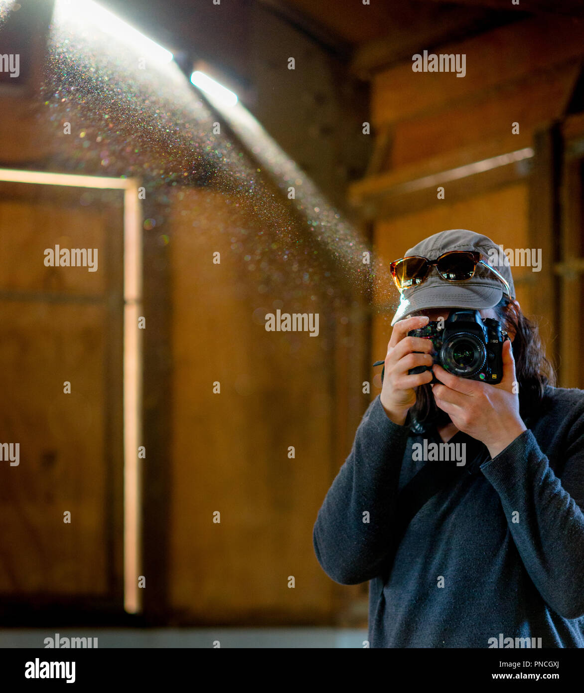 Woman photographer in dusty barn with sunbeams and glowing dust behind ...