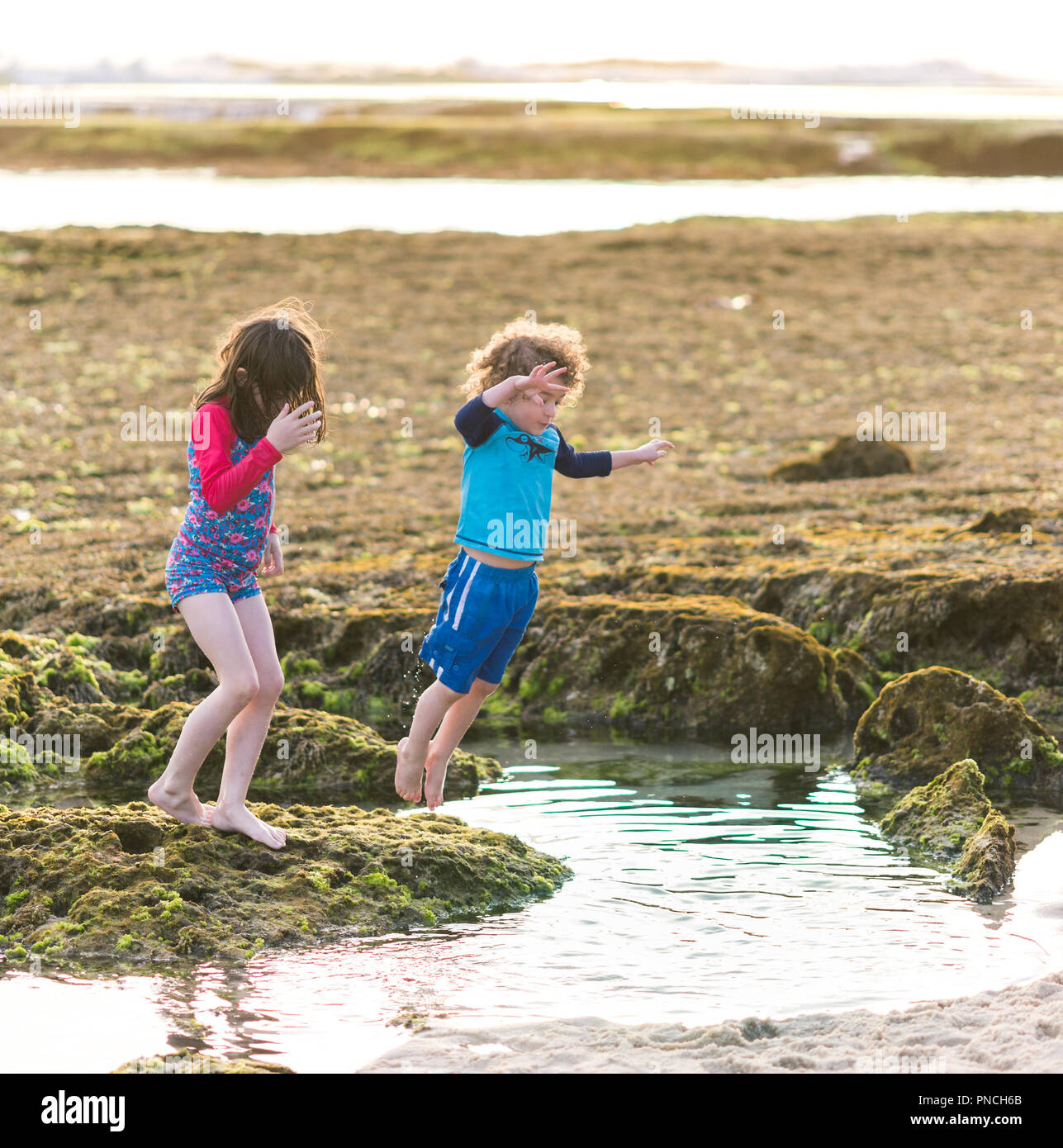 Tide Pools Australia High Resolution Stock Photography and Images - Alamy