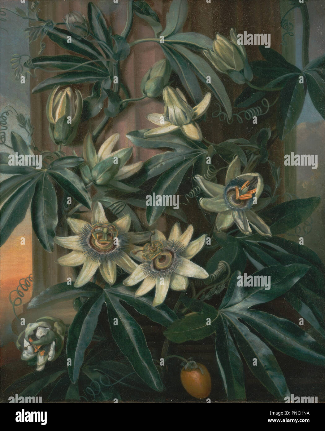 Philip reinagle hi-res stock photography and images - Alamy