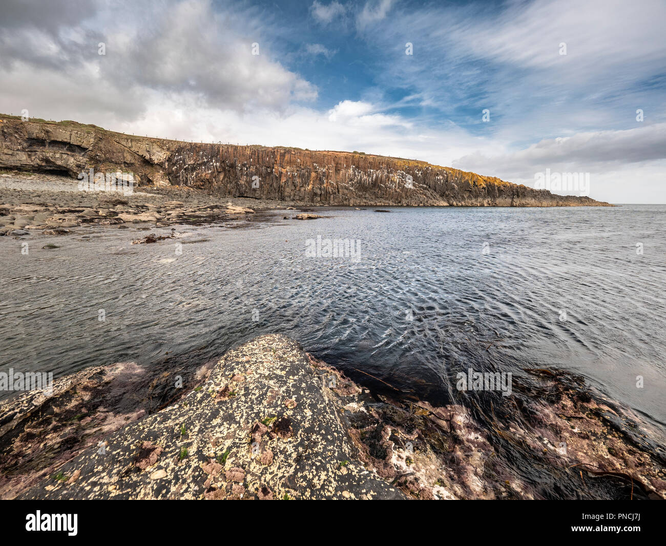 Cullernose point, northumberland hi-res stock photography and images ...