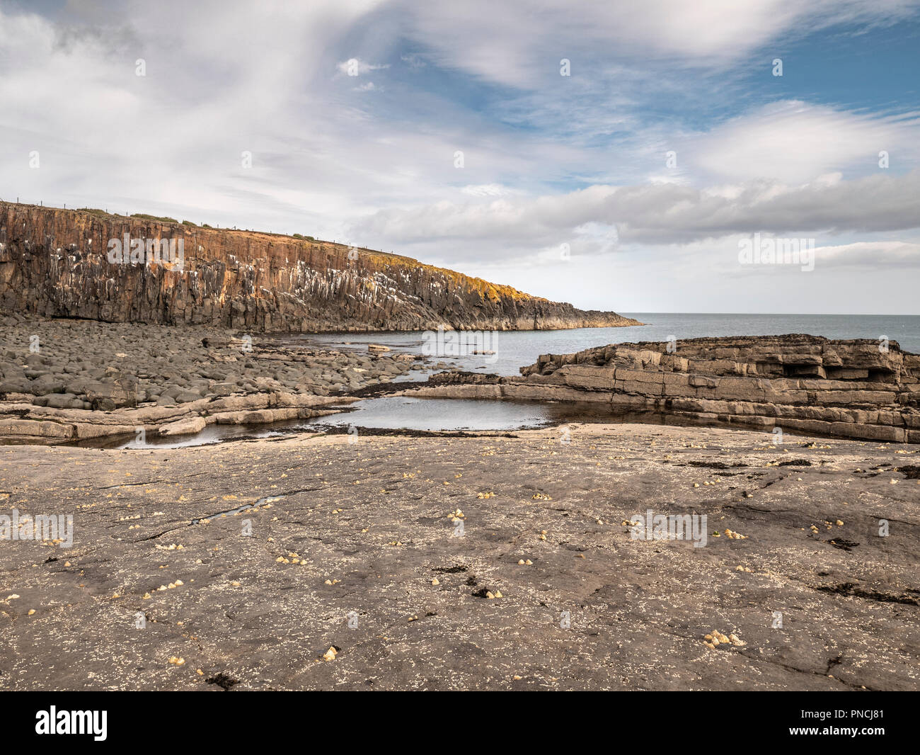 Cullernose point, northumberland hi-res stock photography and images ...
