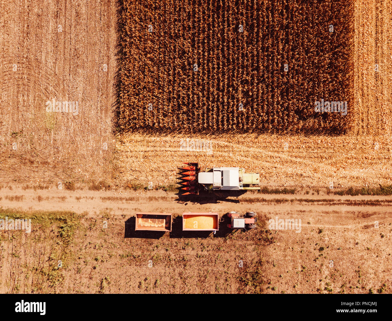 Grain cart cornfield hi-res stock photography and images - Alamy