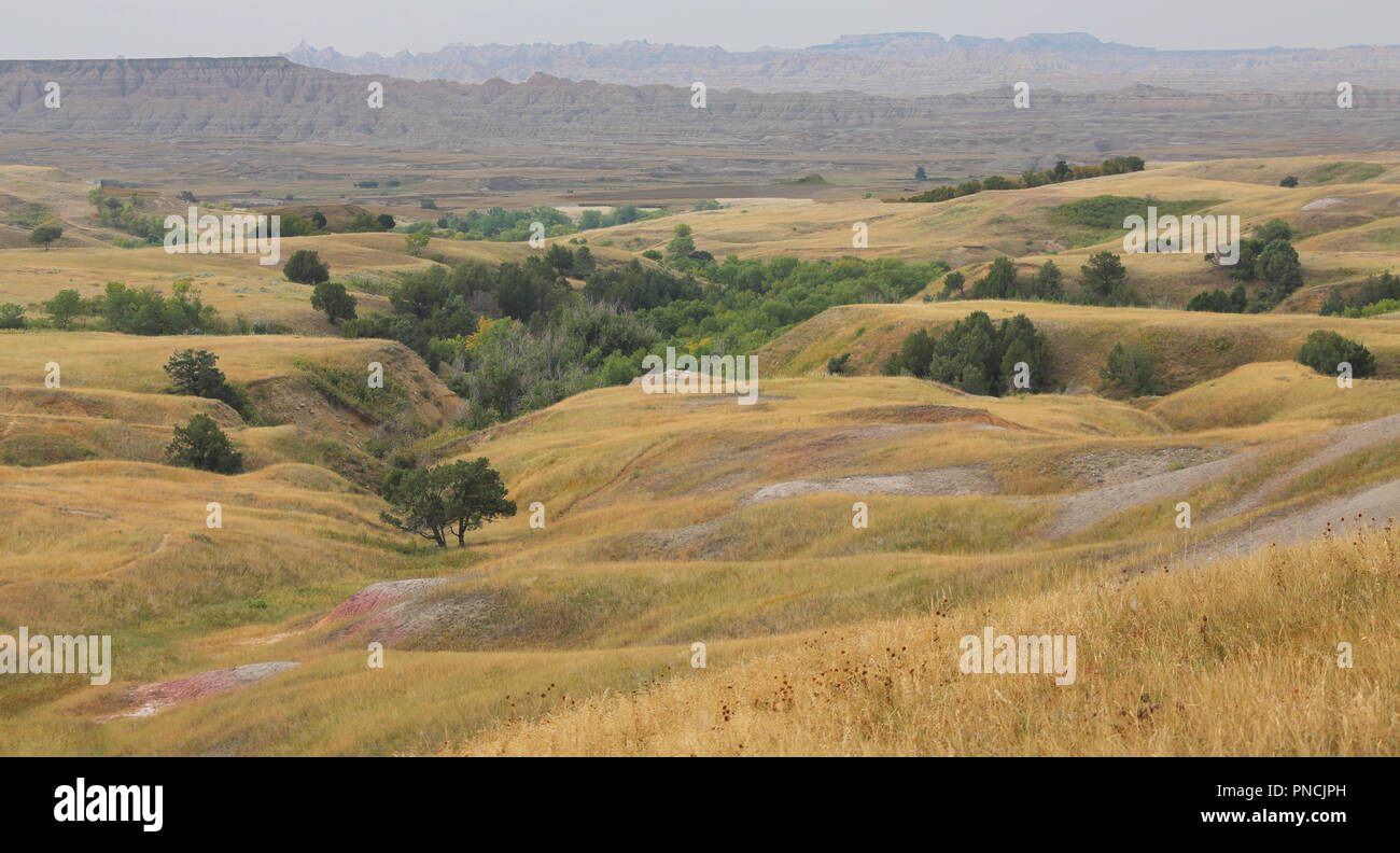 gently rolling hills with yellow prairie grasses, green trees and ...