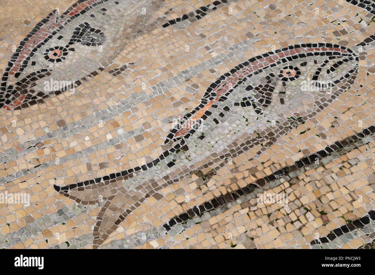 Aquileia mosaic fish hi-res stock photography and images - Alamy