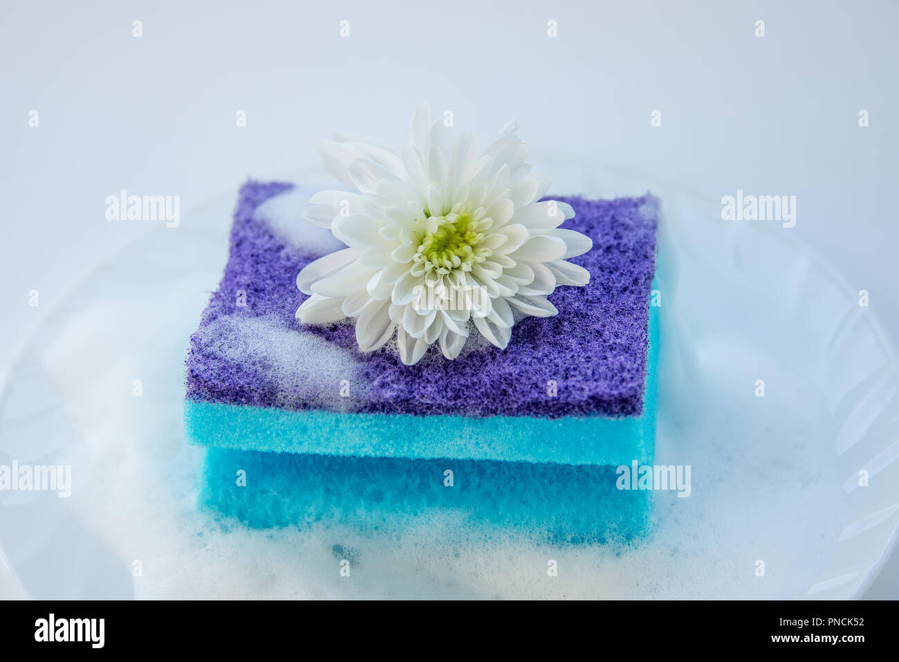 Sponge for washing dishes in soapy foam with flowers on white ...