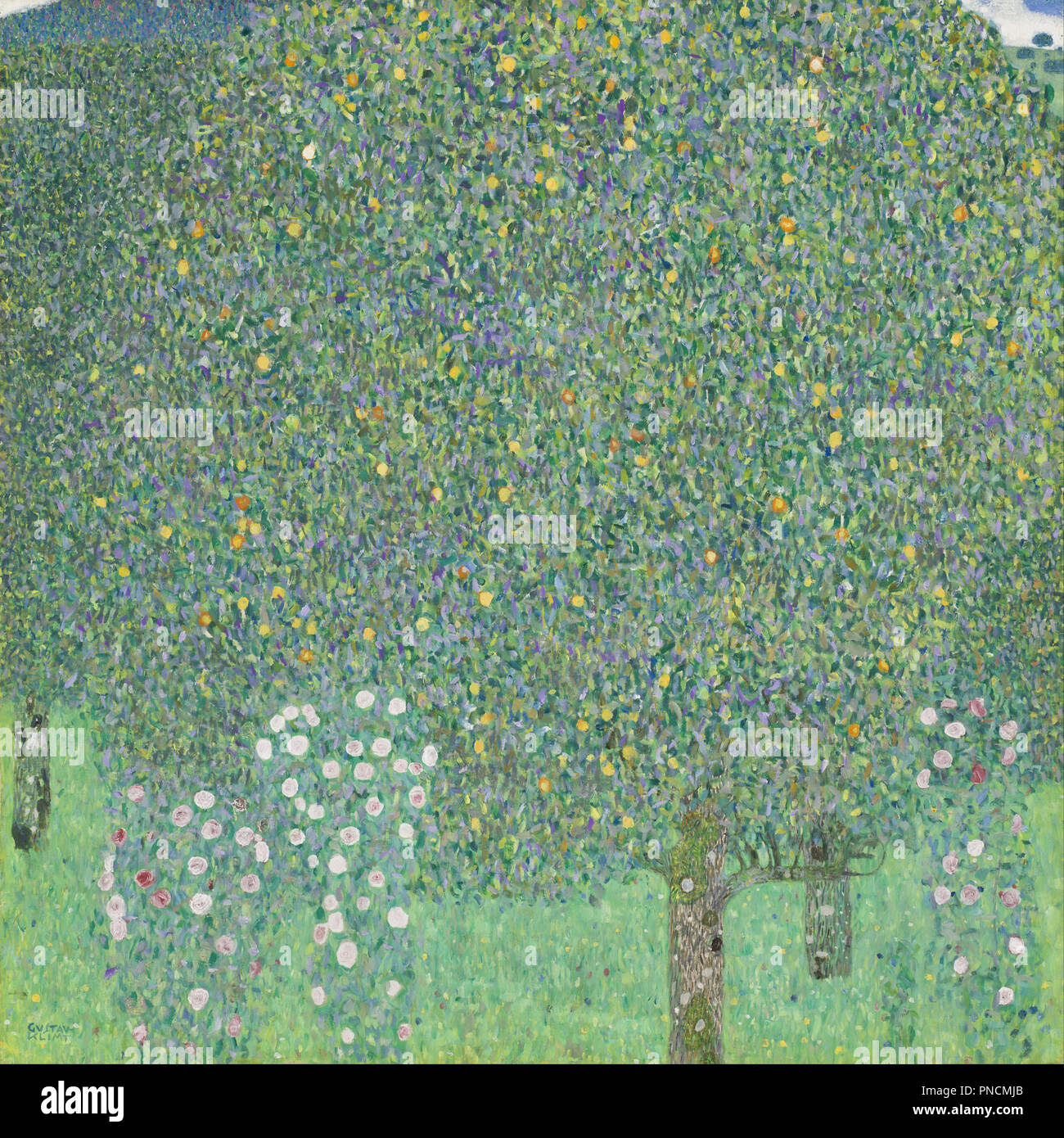 Gustav Klimt Tree High Resolution Stock Photography and Images - Alamy