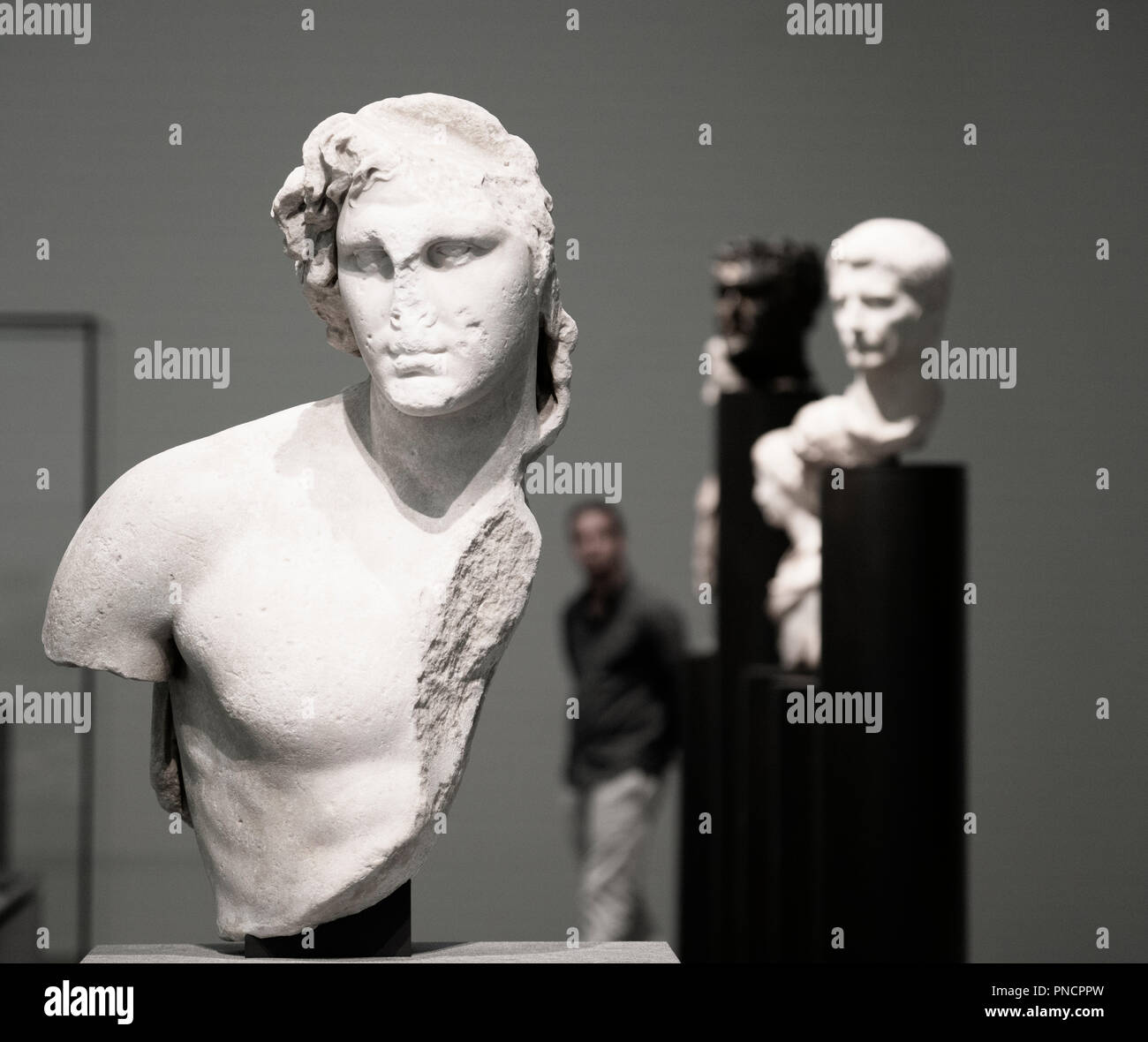 How Was Alexander The Great's Body Preserved at Jerald Hunt blog