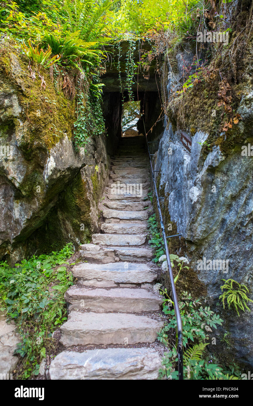 Staircase castle ireland hi-res stock photography and images - Alamy