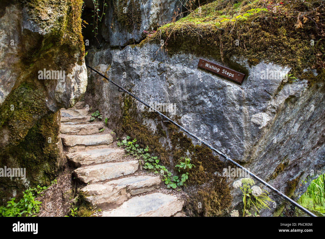 Wishing steps at a hi-res stock photography and images - Alamy