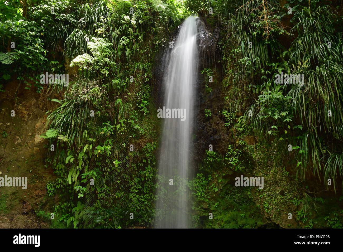 St lucia waterfall hi-res stock photography and images - Alamy