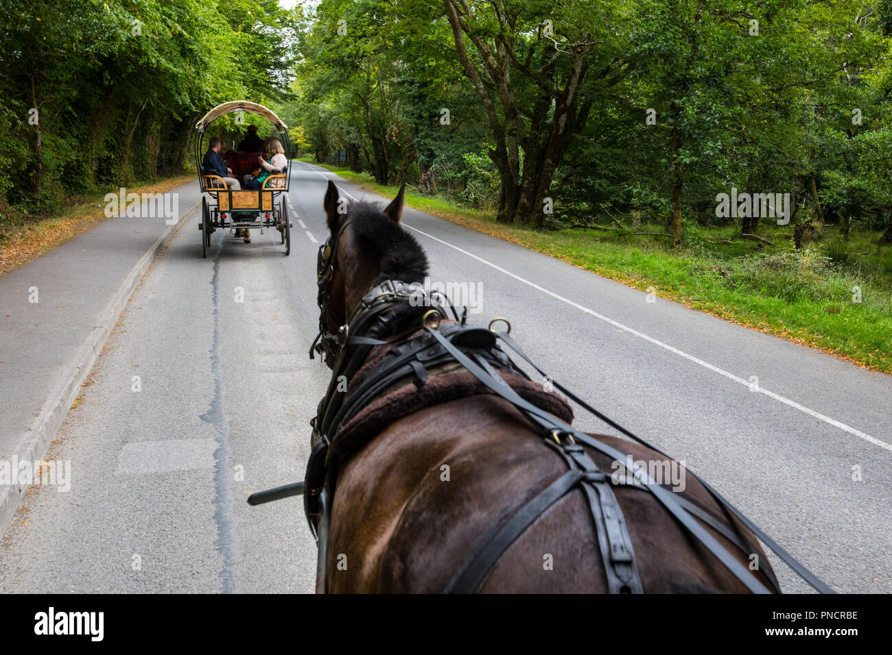Killarney, Republic of Ireland - August 17th 2018: A Jaunty Ride ...