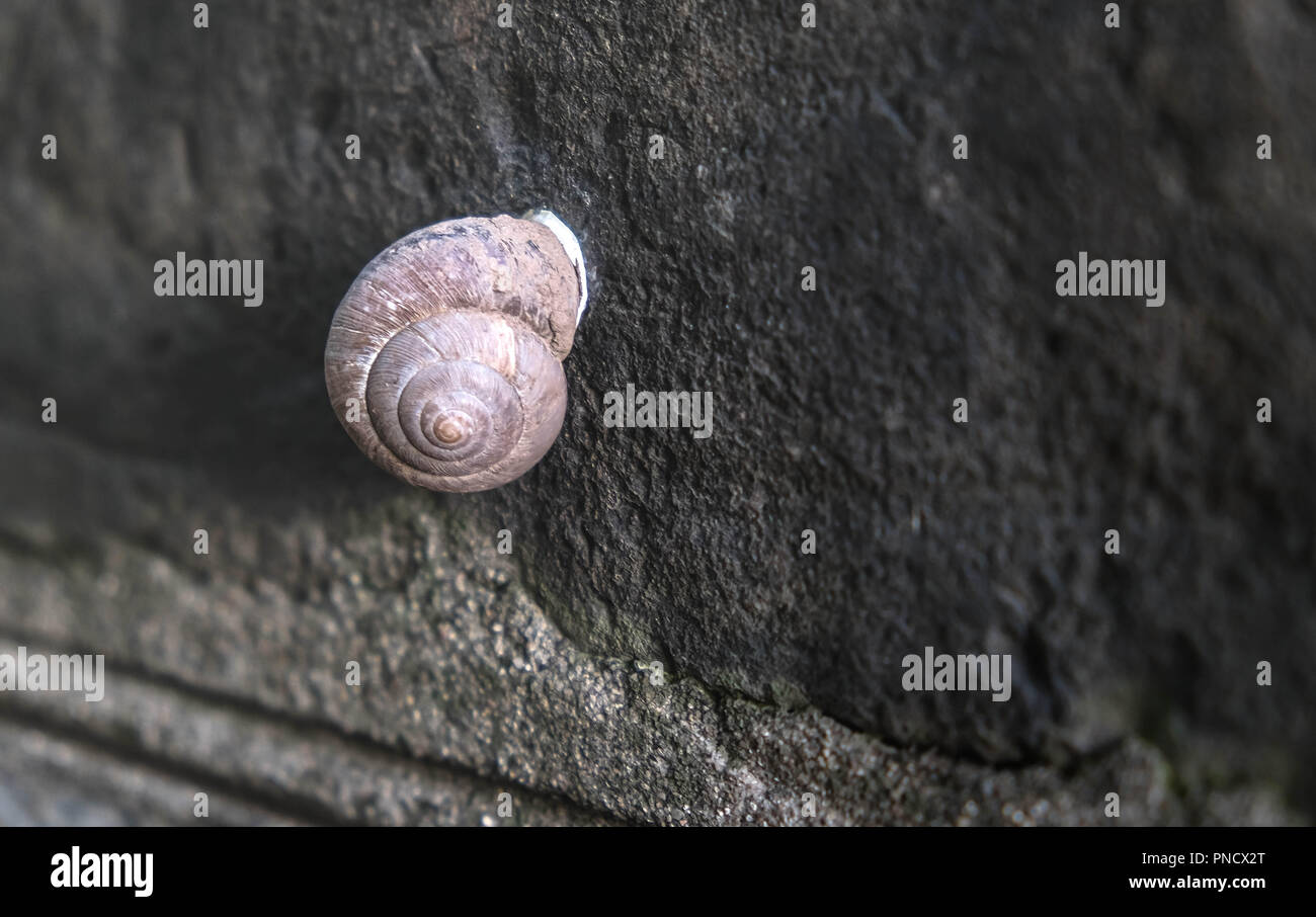 Pebbled wall hi-res stock photography and images - Alamy