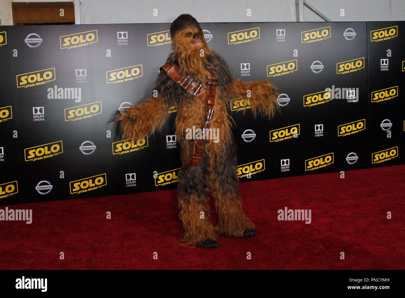Chewbacca Character at the Premiere of Lucasfilm's "Solo: A Star Wars ...