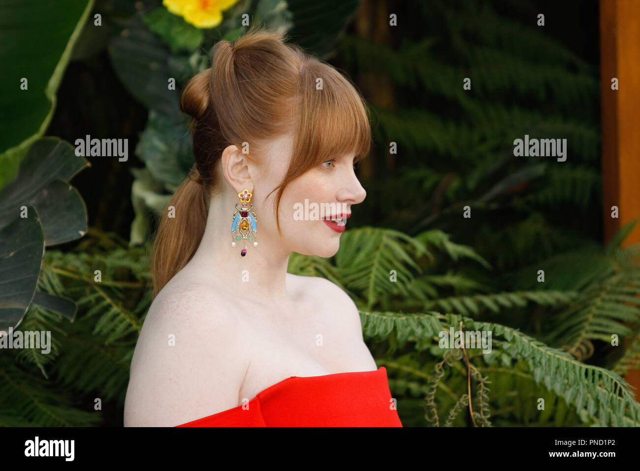Bryce Dallas Howard at the Premiere of Universal Pictures' "Jurassic ...