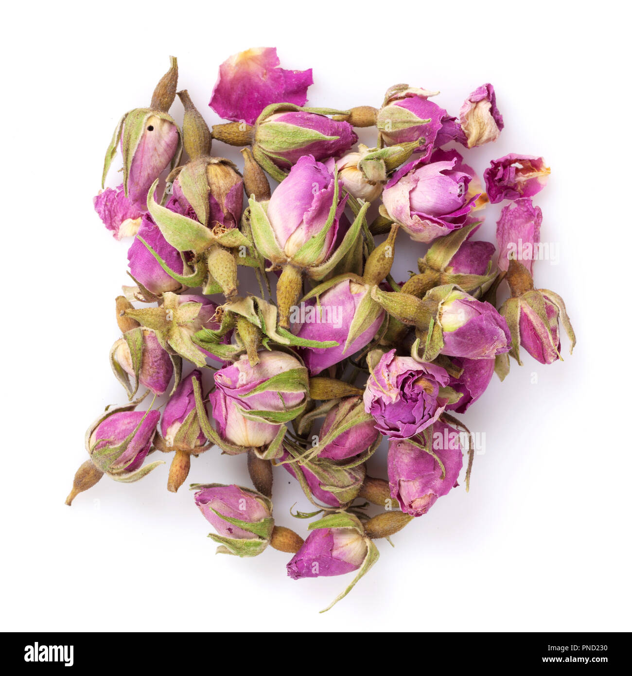 Rose flowers spice. Isolated on white background Stock Photo - Alamy