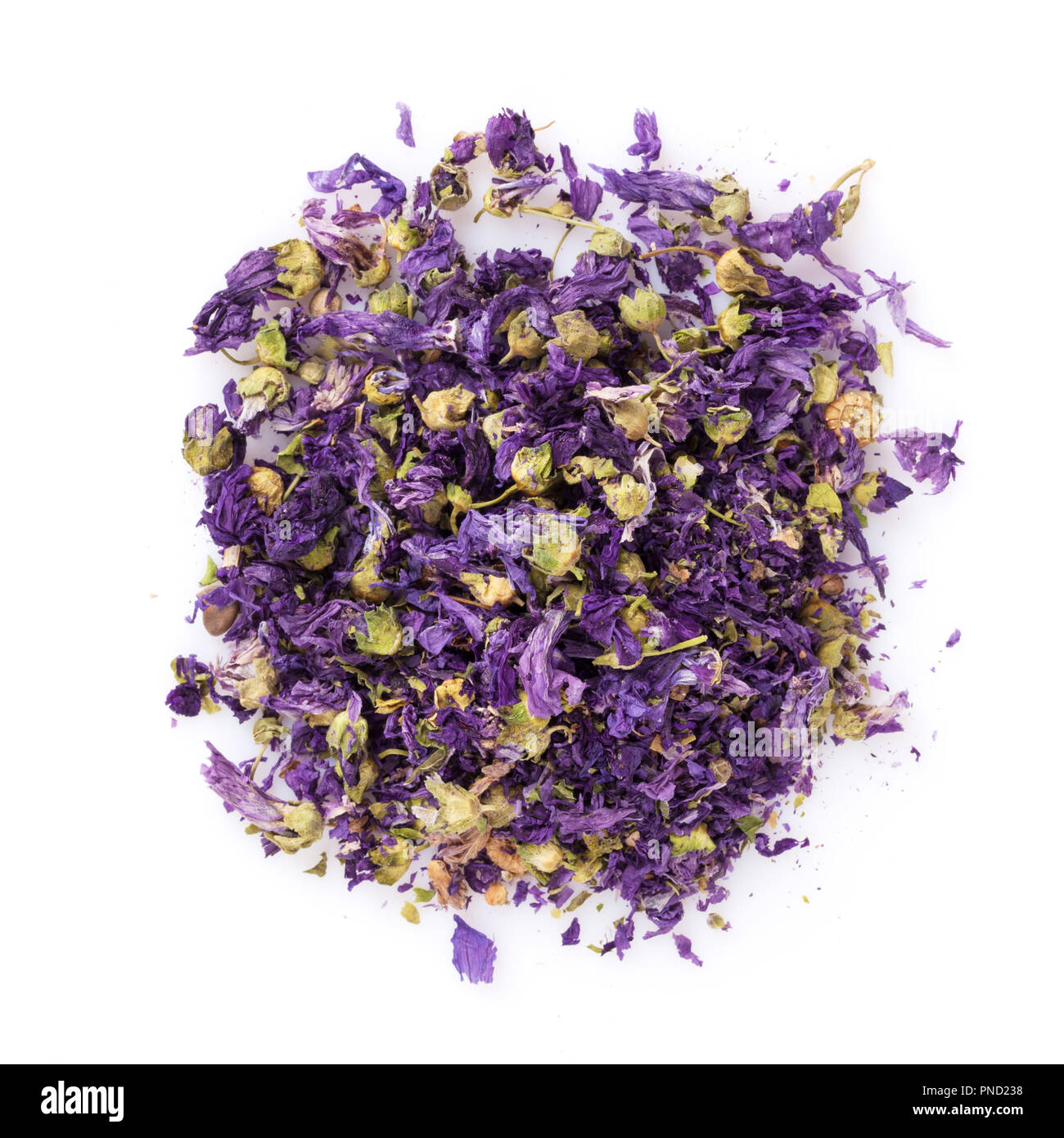 Purple flower spice. Isolated on white background Stock Photo - Alamy