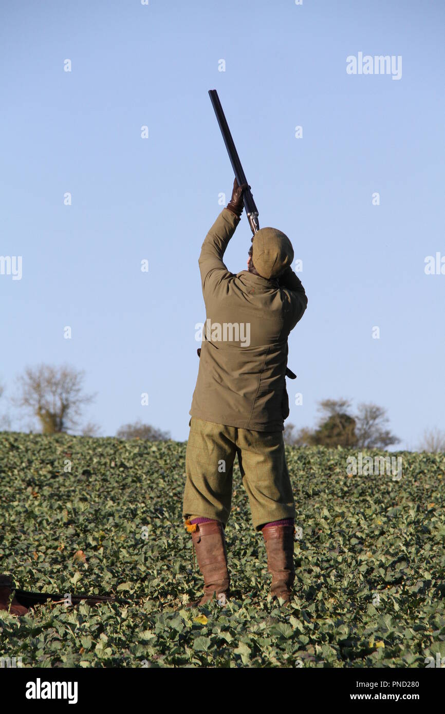 Game shooting, traditional shooting Stock Photo - Alamy