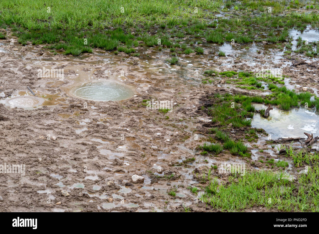 Sulfurous gases hi-res stock photography and images - Alamy