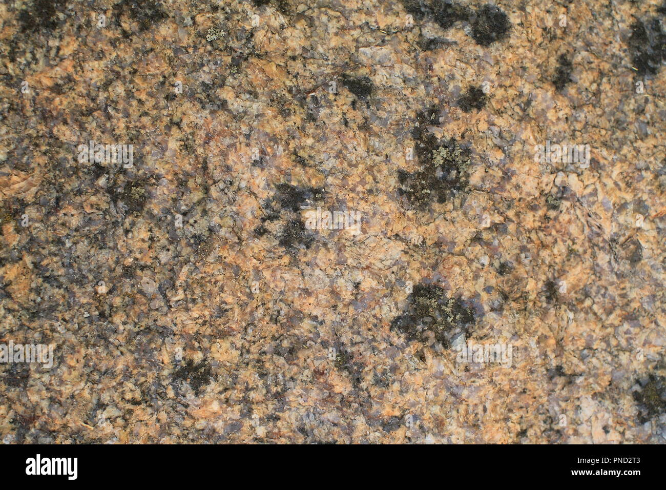Abstract natural rock stone texture design background Stock Photo - Alamy