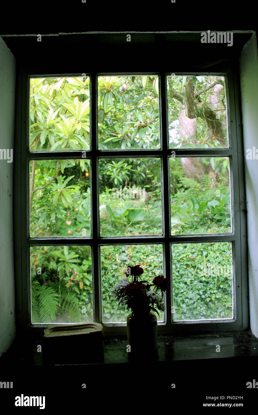 Greenery in a Window Silhouette Stock Photo - Alamy