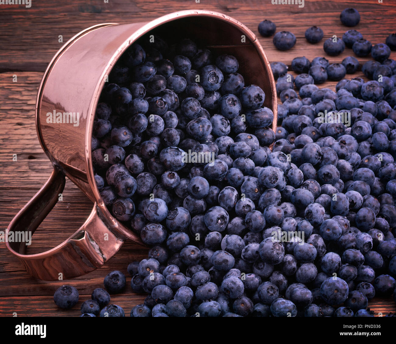 1970s COPPER CUP OVERFLOWING WITH WILD BLUEBERRIES Vaccinium ...