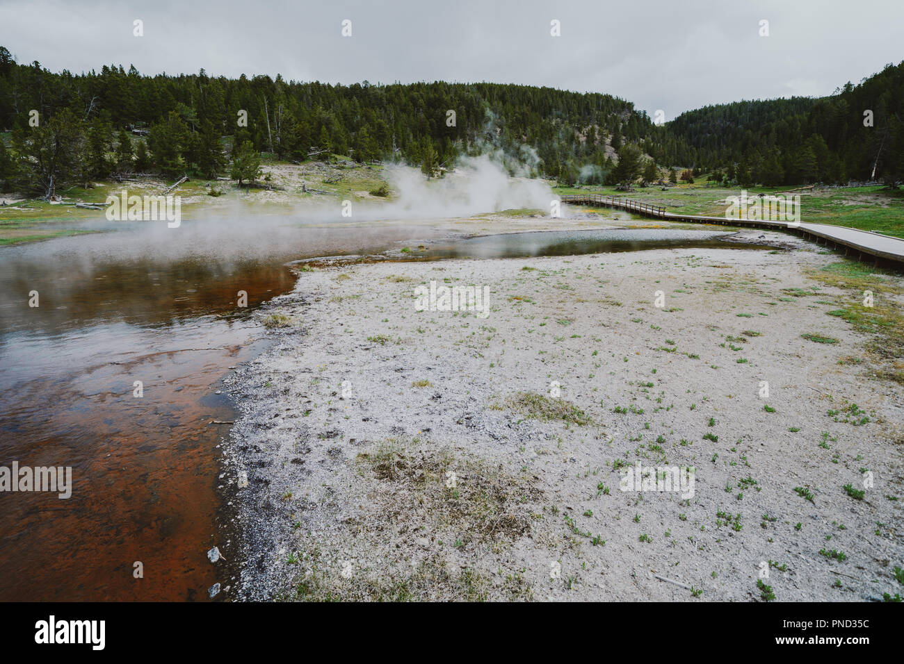 Boardwalk through a river thermal feature in Yellowstone National Park ...