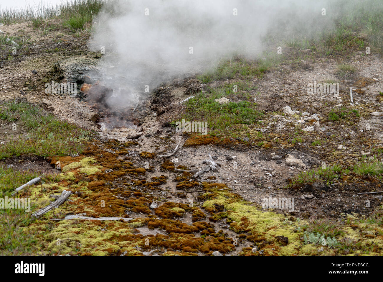 Close up photo showing texture and natural colors of a geyser thermal ...